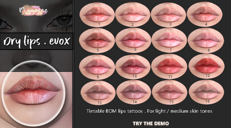 Second Life Marketplace - [Mignonne] Dry lips pack. EvoX . (Wear)